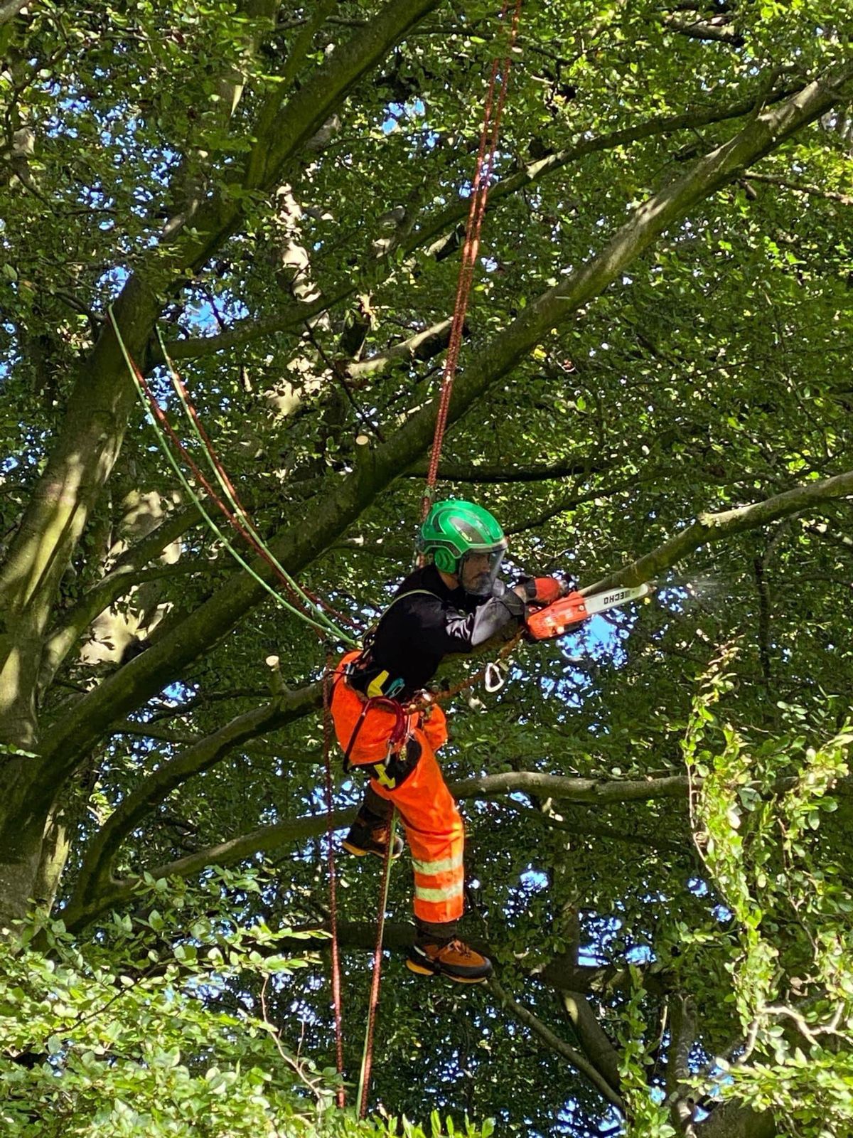 About Us - Optimal Tree Services